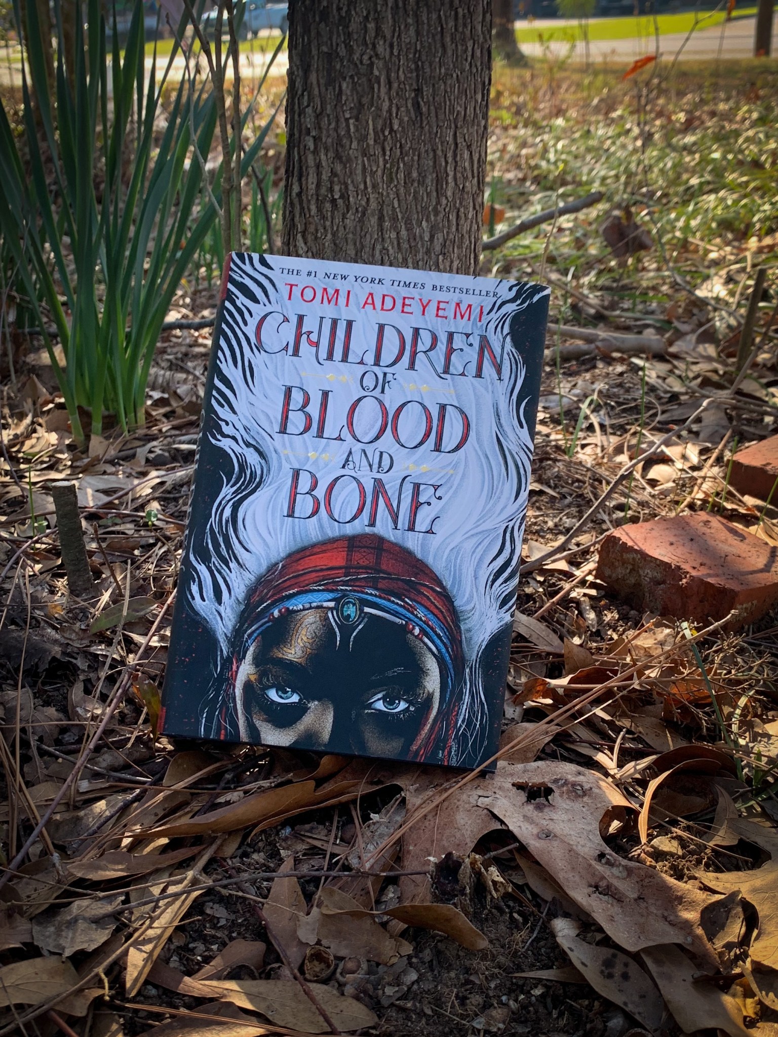 Children of Blood and Bone by Toni Adeyemi Review - Wildwood Reads