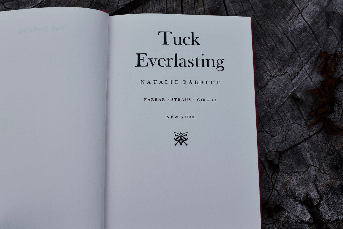 The Best Opening Paragraphs - Wildwood Reads