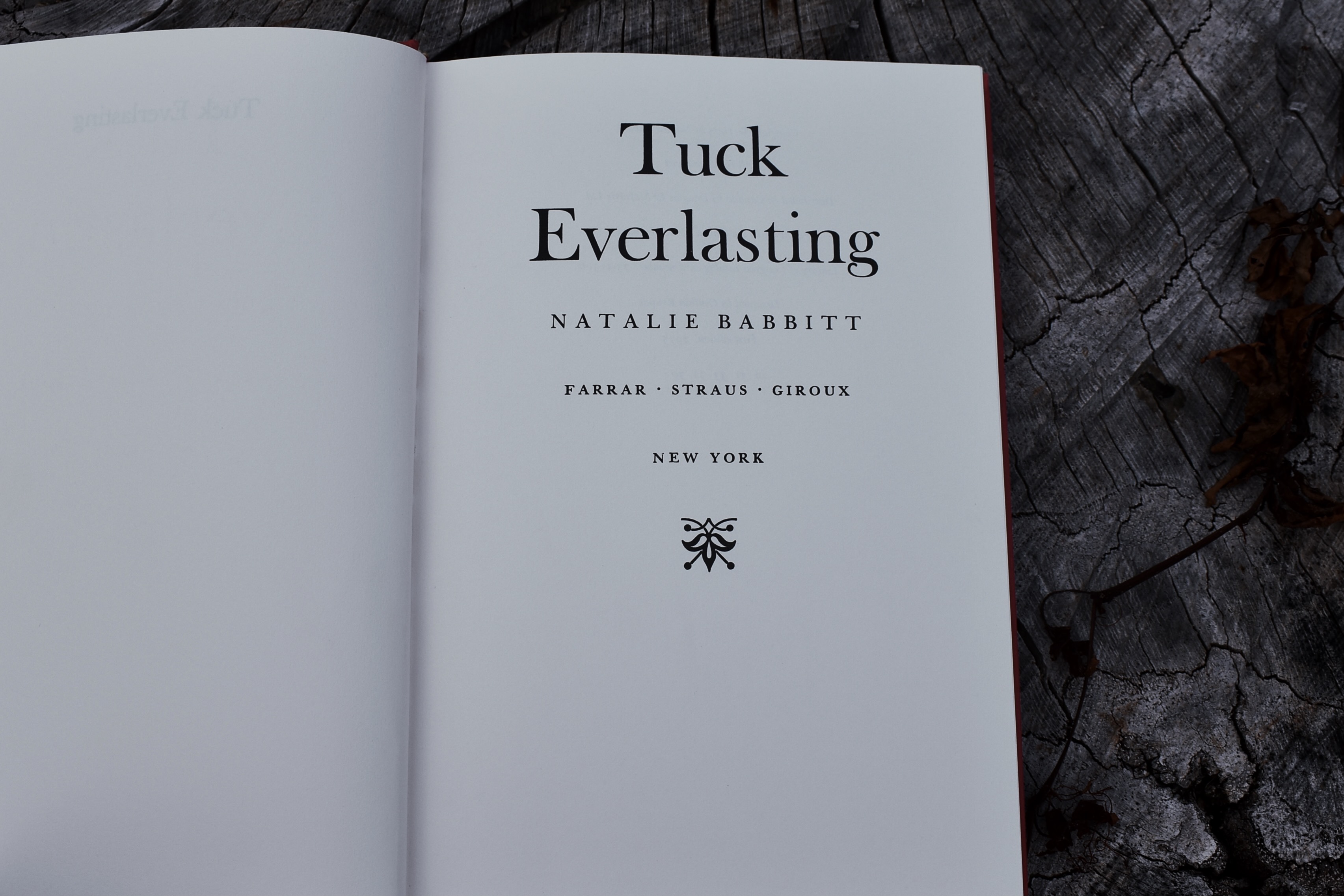 The Best Opening Paragraphs - Wildwood Reads