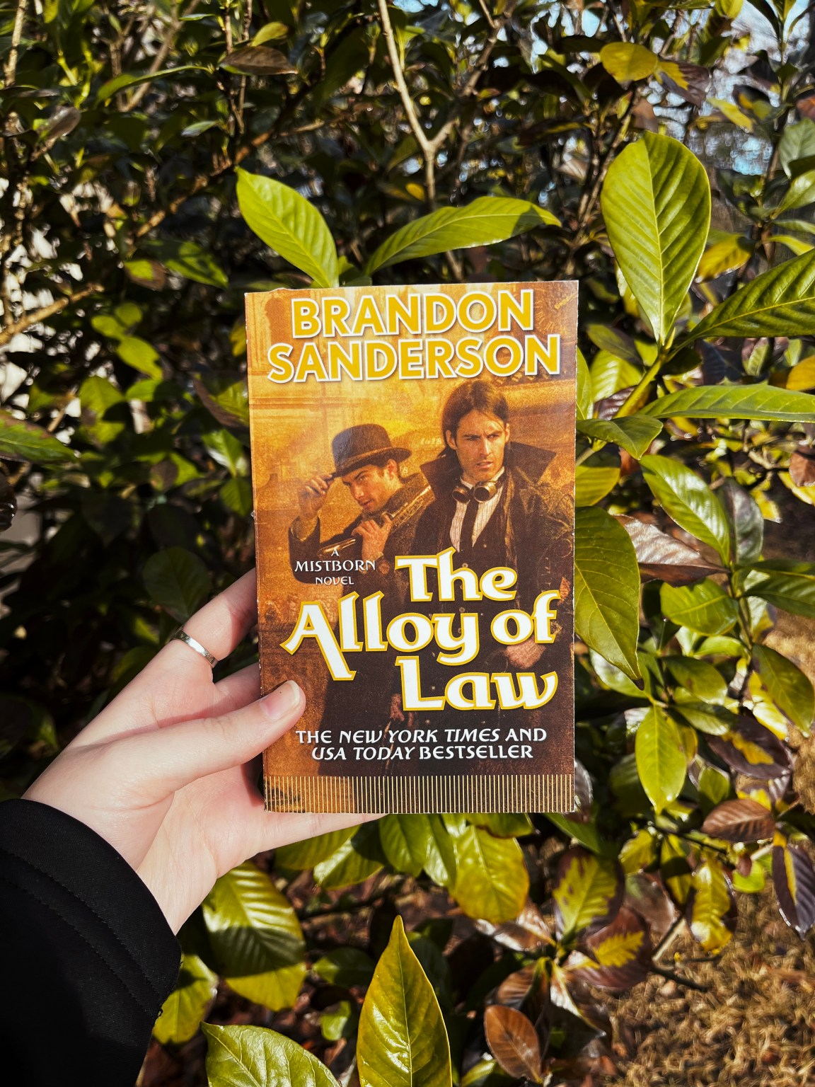 Ranking The Wax and Wayne Series - Wildwood Reads