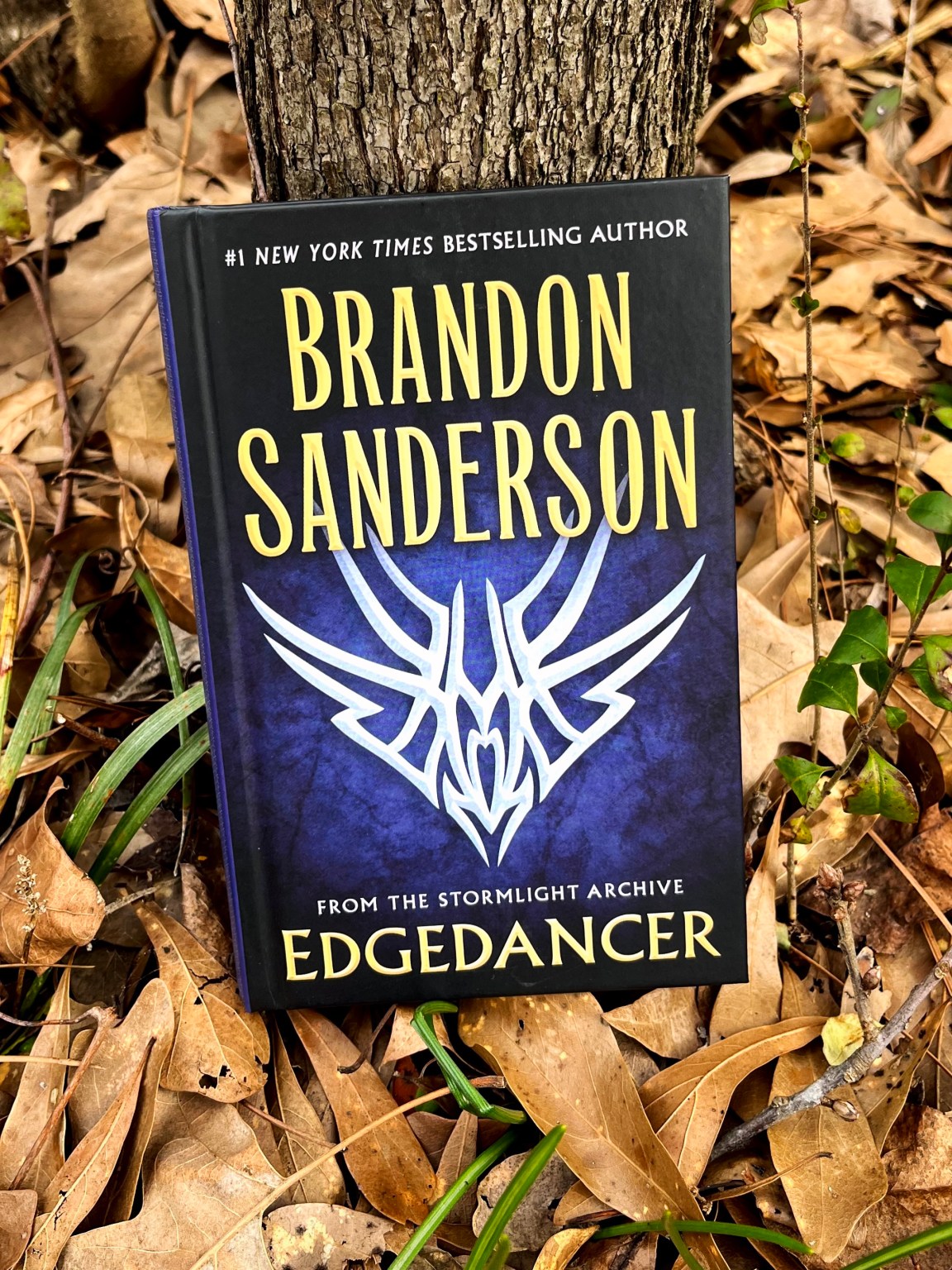 Edgedancer Review - Wildwood Reads