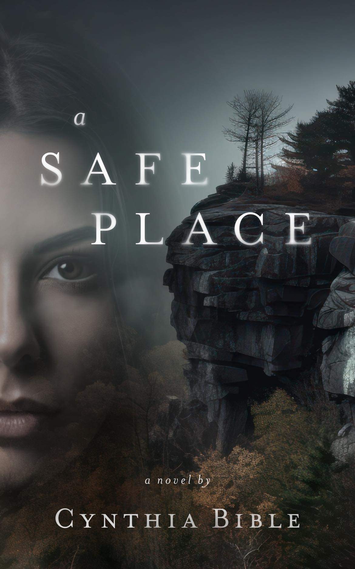 A Safe Place Book Spotlight - Wildwood Reads