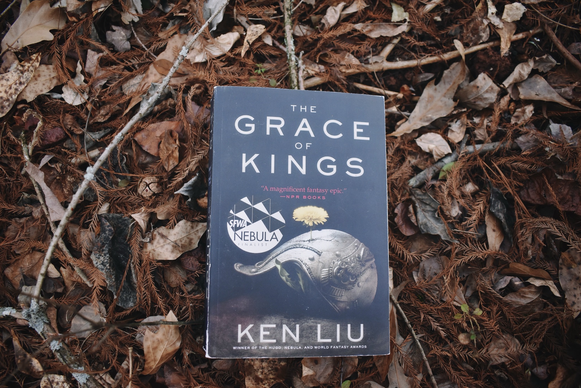 DNF Diaries: The Grace of Kings - Wildwood Reads