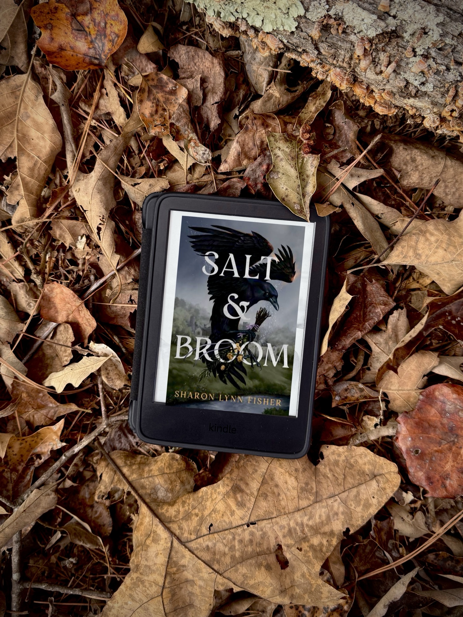 Salt & Broom Review - Wildwood Reads