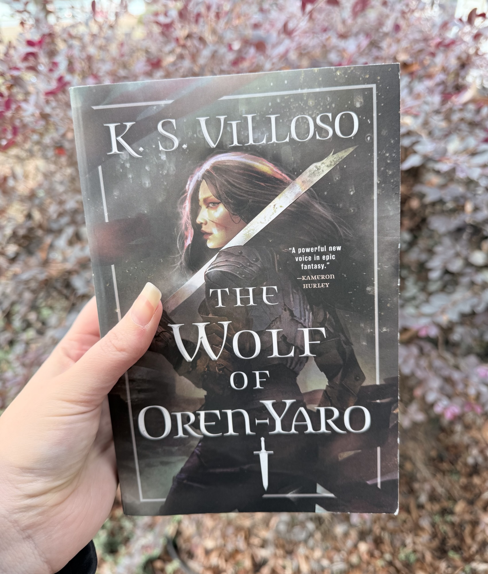 DNF Diaries: The Wolf of Oren-Yaro - Wildwood Reads